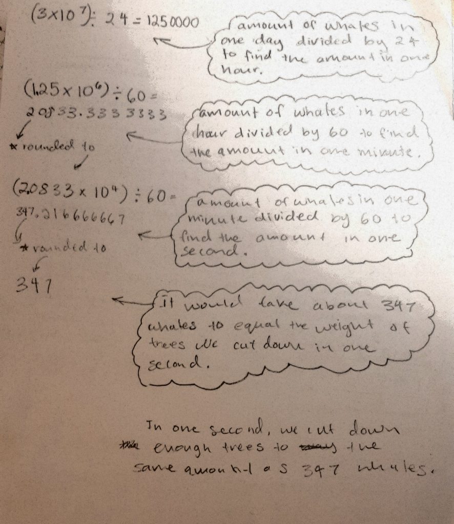 Making Sense of Human Impact: A Scientific Notation Project – Hailstone ...