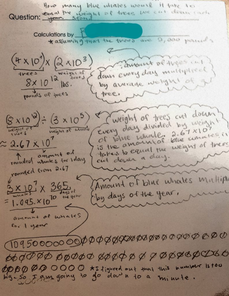 Making Sense of Human Impact: A Scientific Notation Project – Hailstone ...