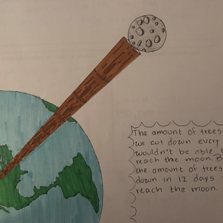 Hailstone Sequence – exploring math education